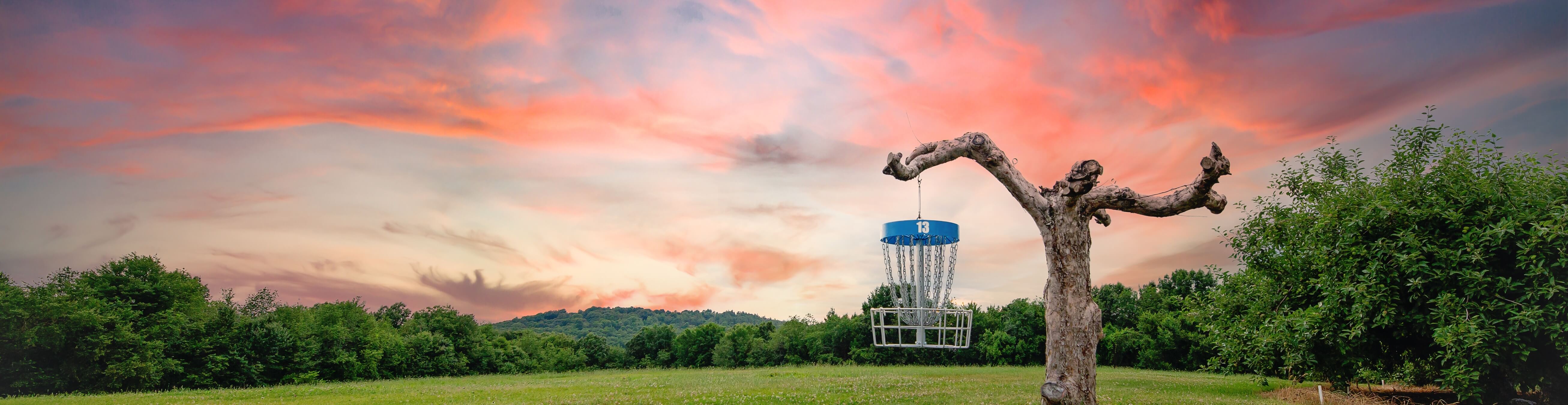 Find the best disc golf courses in 2026 | UDisc